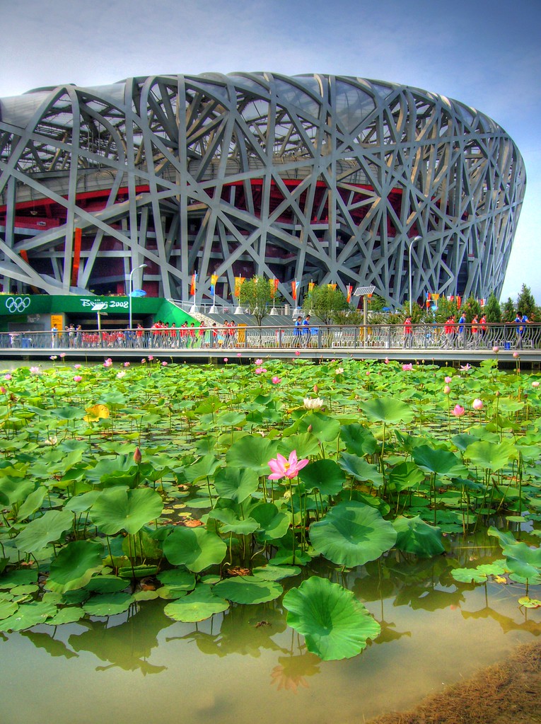 Olympic Scale Regeneration – anthony brower